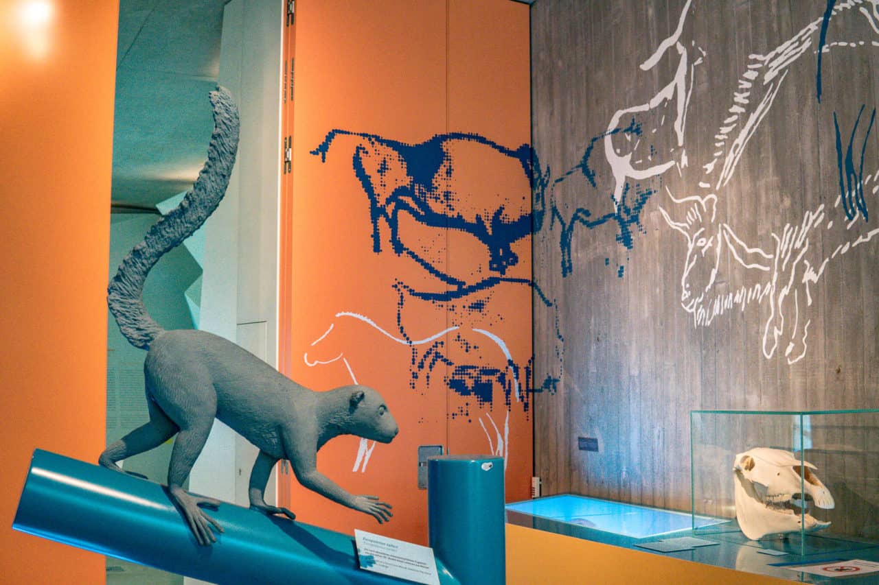 Grube Messel – Auf Zeitreise mit Fossilien - Barbaralicious